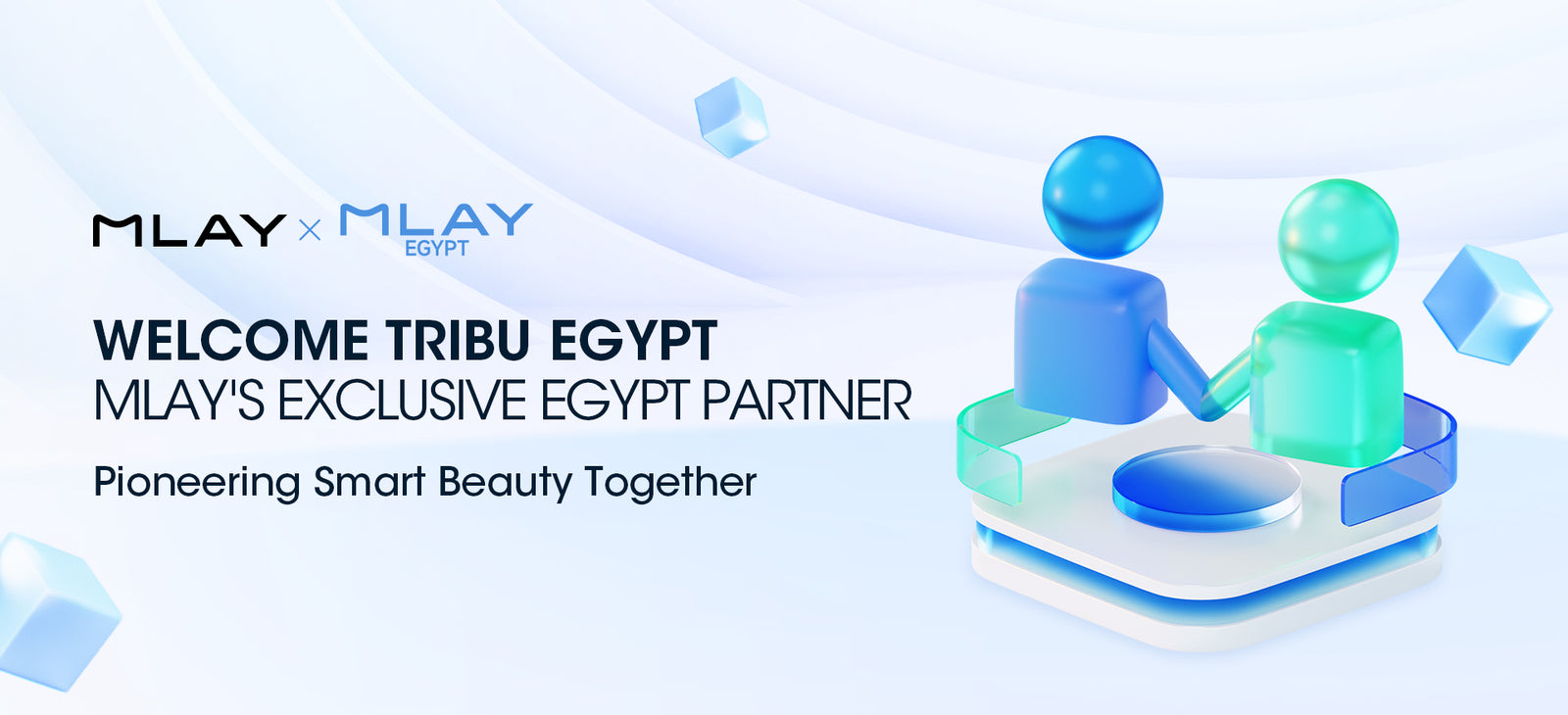 MLAY Group official website, professional technology painless hair rem ...